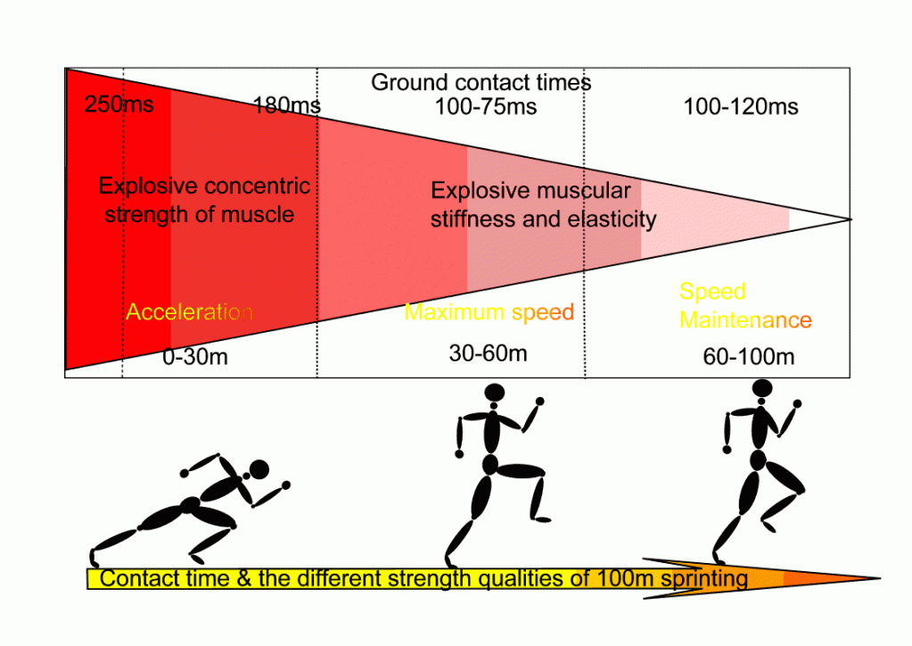 100 Meter Strength Qualities Bret Contreras 100 Meter Strength Qualities Bret Contreras