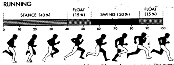 Should the Rehabilitation and Strength and Conditioning Professional ...
