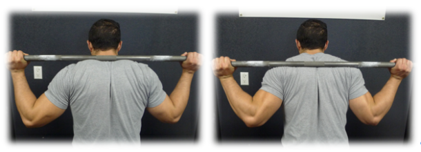 How to Increase Your Squat - Bret Contreras