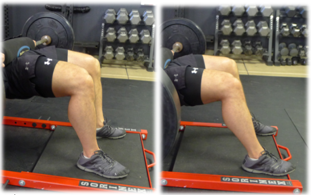 How to Hip Thrust - Bret Contreras